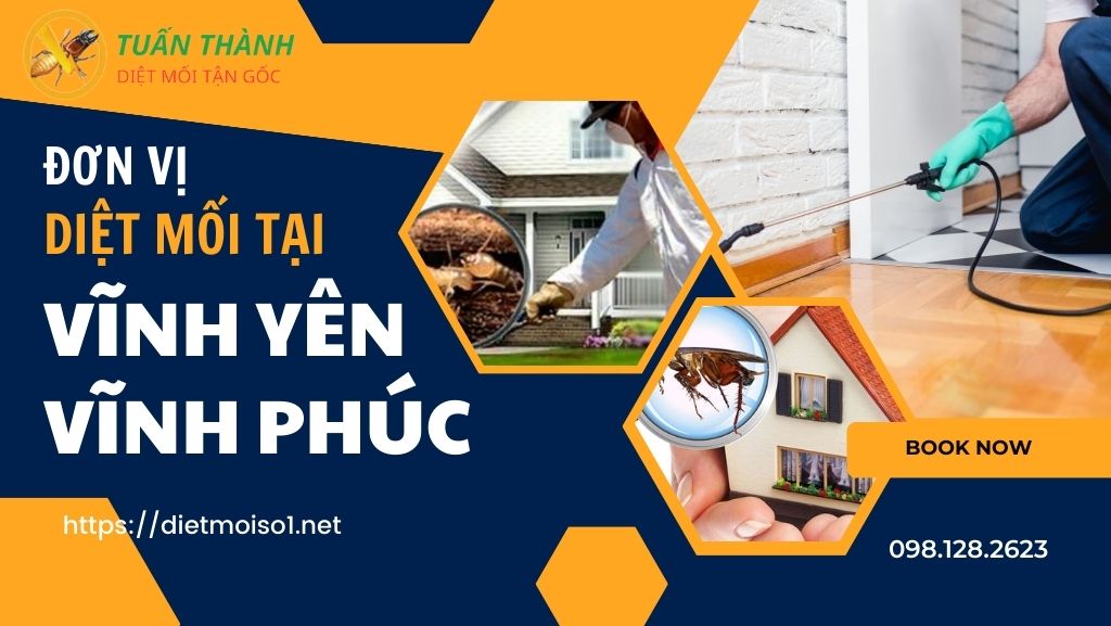 Đơn vị diệt mối tại Phúc Yên Vĩnh Phúc – Đảm bảo hết mối 100%